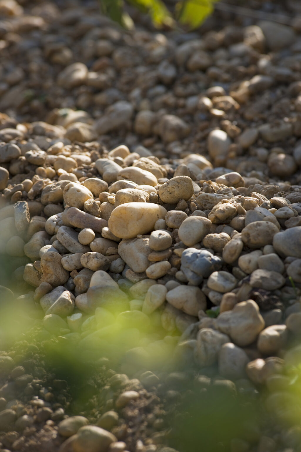 Burgundy vs Bordeaux wine: a complete guide to France’s premier wine ...