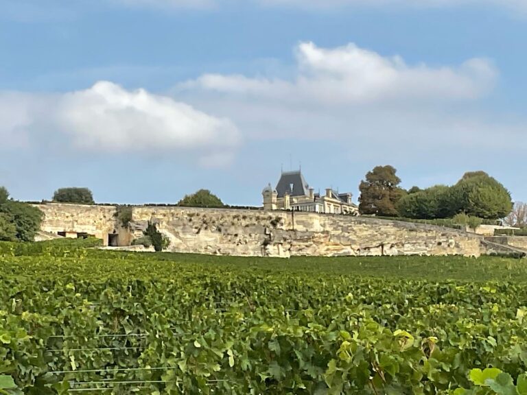 Burgundy vs Bordeaux wine: a complete guide to France’s premier wine ...